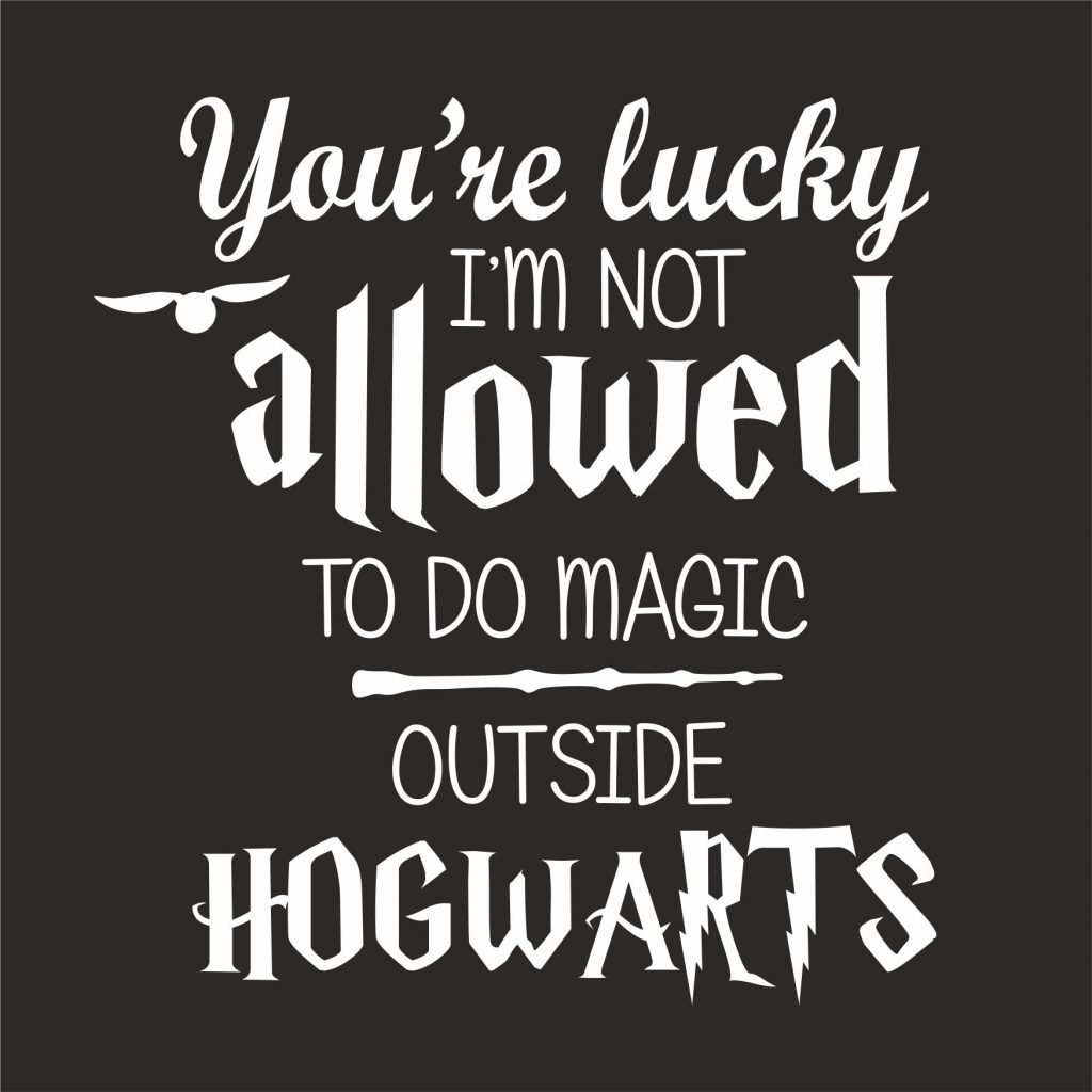YOU'RE LUCKY I'M NOT ALLOWED TO DO MAGIC OUTSIDE HOGWARTS T-SHIRT ...